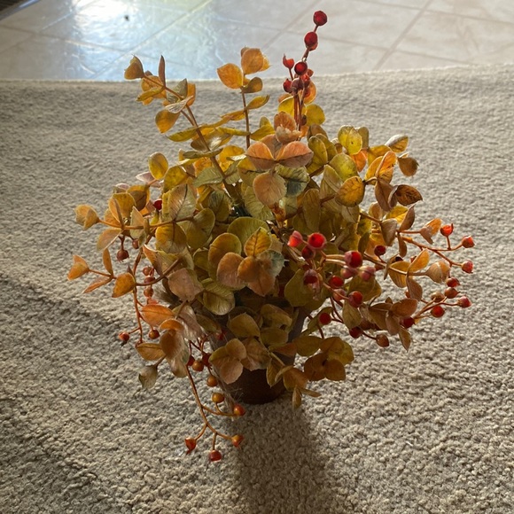 Accents | Rust Eucalyptus In Rust Pot | Poshmark